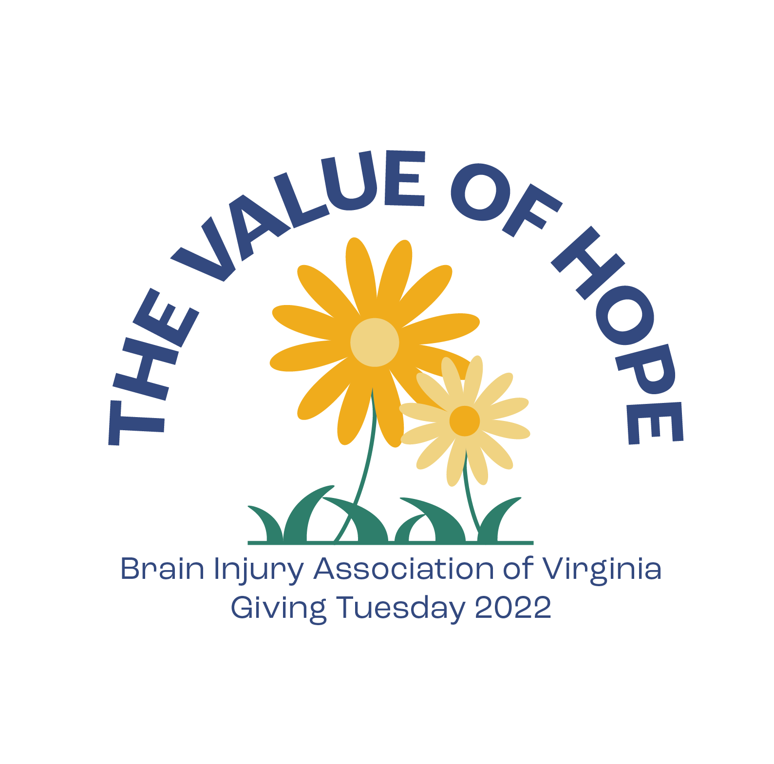 Giving Tuesday - Brain Injury Association of Virginia